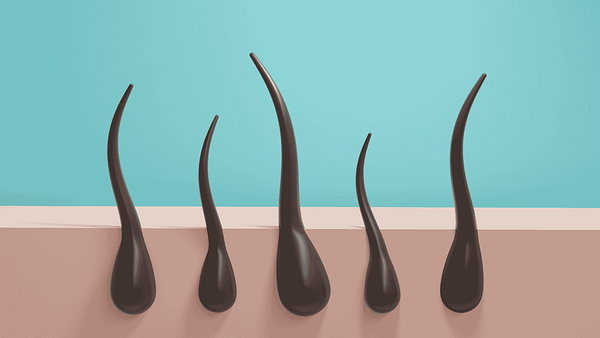 Hair growth cycle | Hair growth phases for Faster Hair Grows